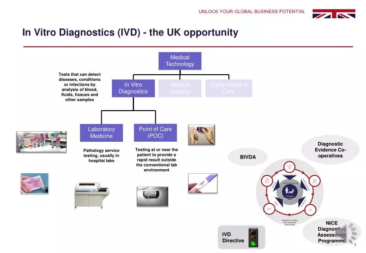 PPT - In Vitro Diagnostics (IVD) - the UK opportunity PowerPoint ...