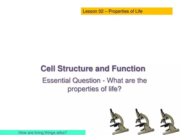 PPT - Cell Structure and Function PowerPoint Presentation, free ...