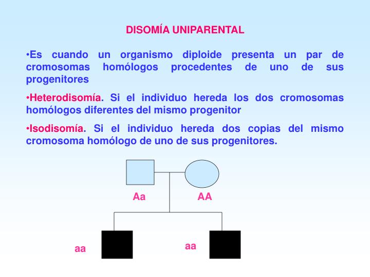 PPT - PATRONES DE HERENCIA MONOGÉNICA PowerPoint Presentation - ID:5307864