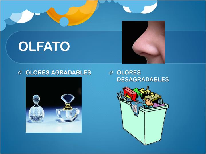 PPT - LOS SENTIDOS PowerPoint Presentation - ID:5309279