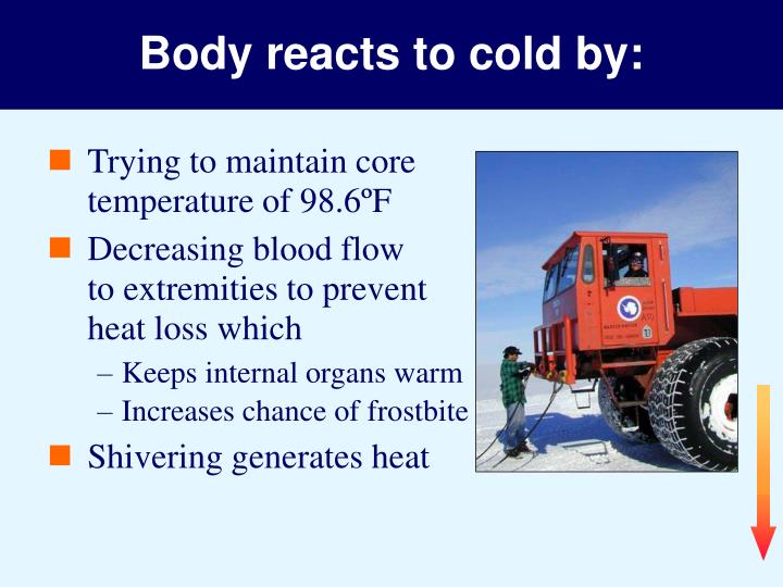 PPT - Cold Weather PowerPoint Presentation - ID:5310639