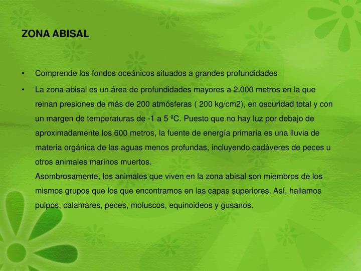 PPT - III Unidad: Ecosistemas y Recursos naturales “Los Biomas ...