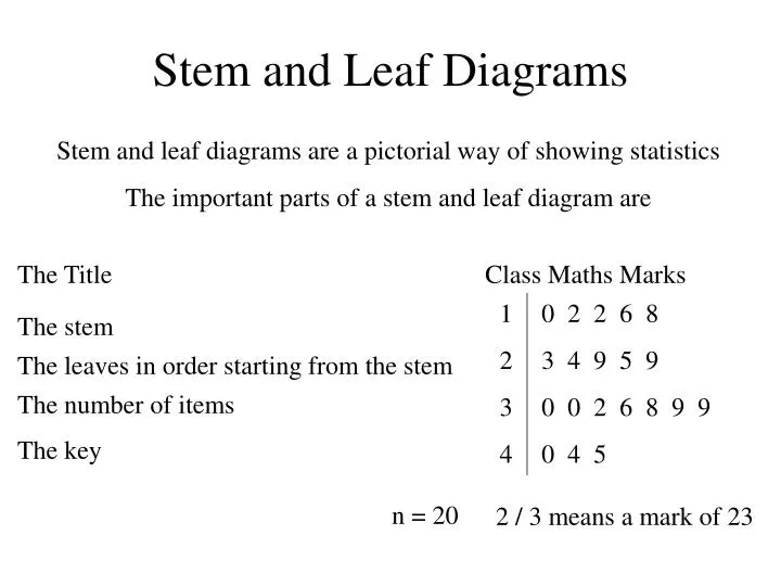 PPT - Stem and Leaf Diagrams PowerPoint Presentation, free download ... PPT - Stem and Leaf Diagrams PowerPoint Presentation, free download ...