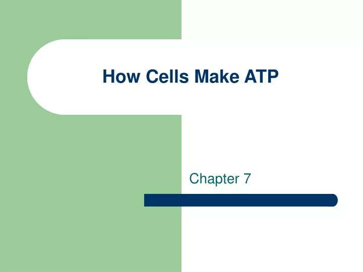 PPT - How Cells Make ATP PowerPoint Presentation, free download - ID ...