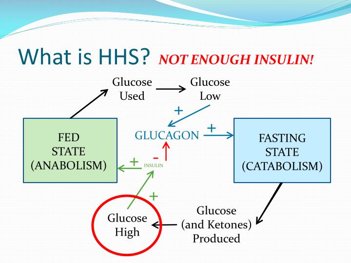 PPT - Hyperglycemia: DKA and HHS PowerPoint Presentation - ID:5315572
