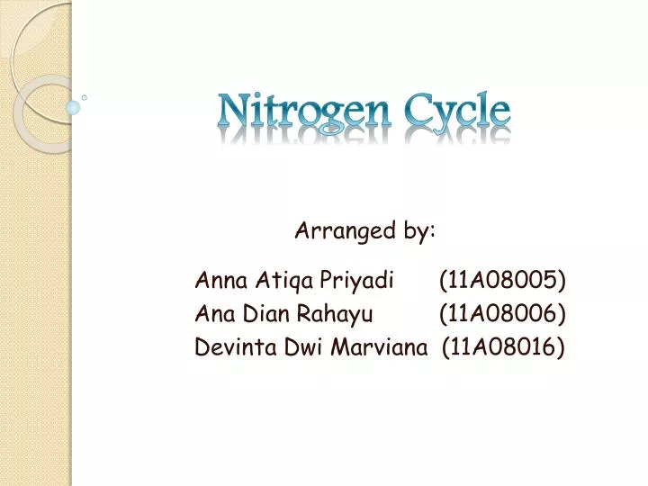 PPT - Nitrogen Cycle PowerPoint Presentation, free download - ID:5315714
