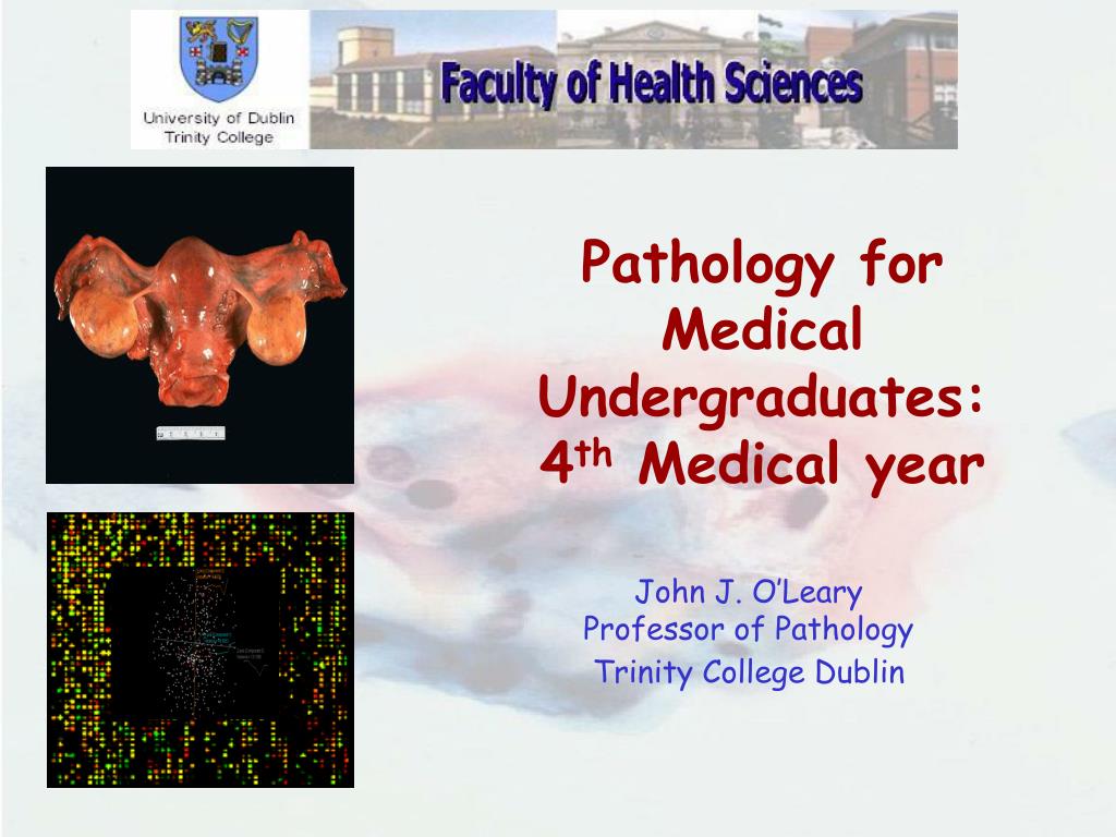 PPT - Pathology for Medical Undergraduates: 4 th Medical year ...