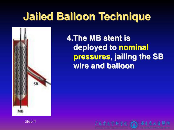 PPT - Side Branch Protection: Jailed Balloon Technique “ 拘禁 ” 球囊分支保护技术 ...