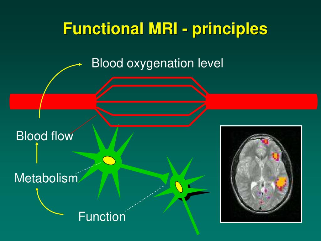 PPT - Translational Imaging Strategies for Therapeutic Discovery in ...