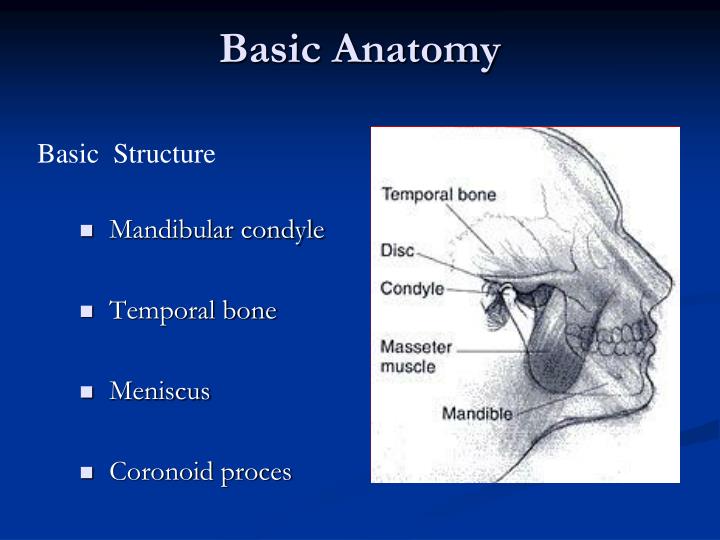 PPT - TMJ and Temporomandibular Joint Disorder PowerPoint Presentation ...