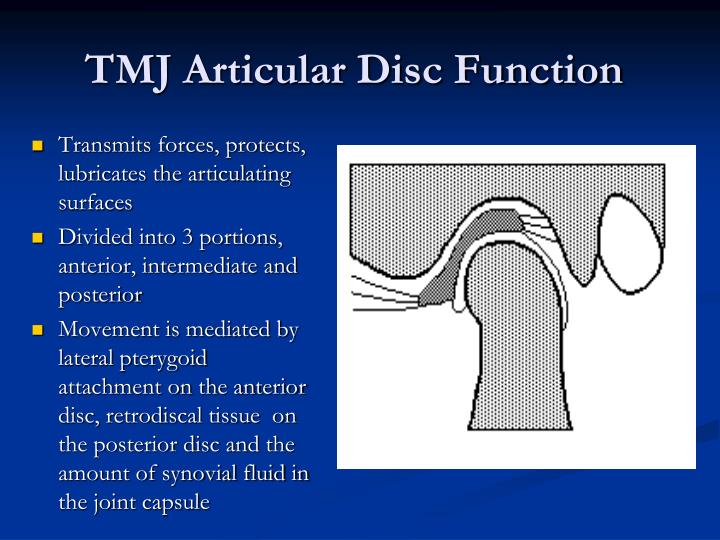 Ppt Tmj And Temporomandibular Joint Disorder Powerpoint Presentation