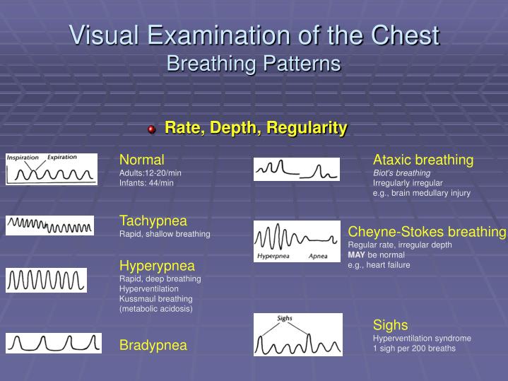 PPT - History and Physical Examination of Respiratory System PowerPoint ...