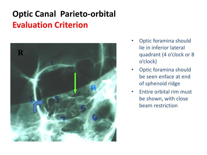 PPT - What is an Orbit? 4 5 2014 PowerPoint Presentation - ID:5318635