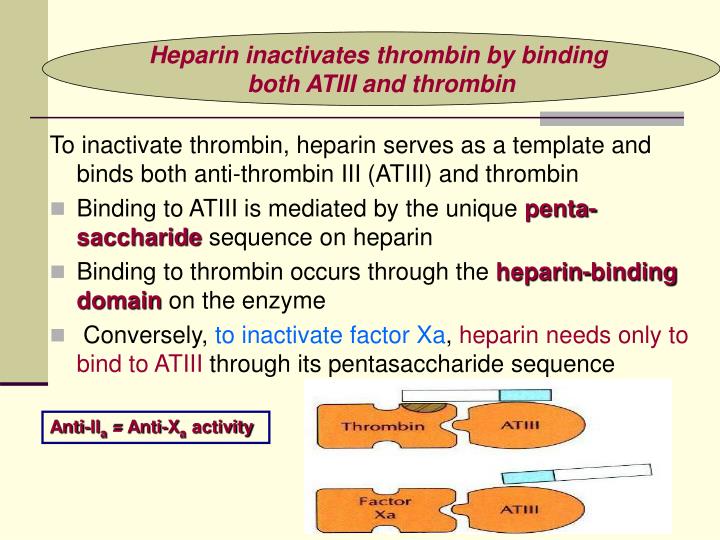 PPT - Anticoagulant Therapy PowerPoint Presentation - ID:5319471