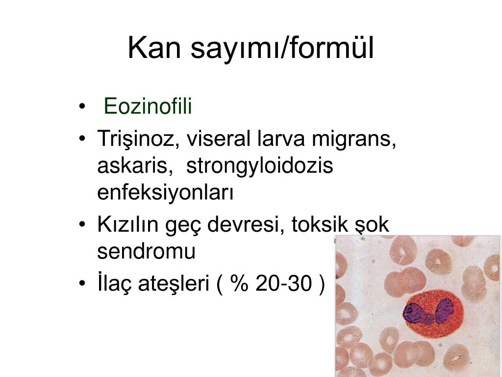 PPT - İnfeksiyon, İnfeksiyon Hastalığı ve klinik bulguların oluşumu ...