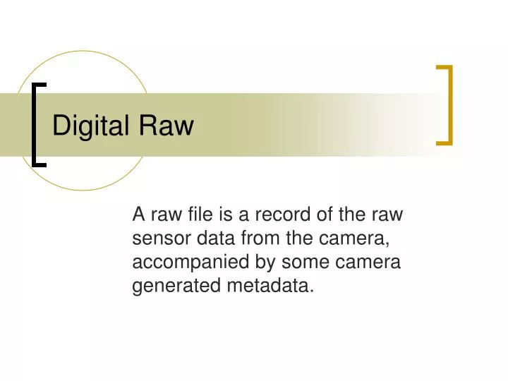 PPT - Digital Raw PowerPoint Presentation, free download - ID:5320088