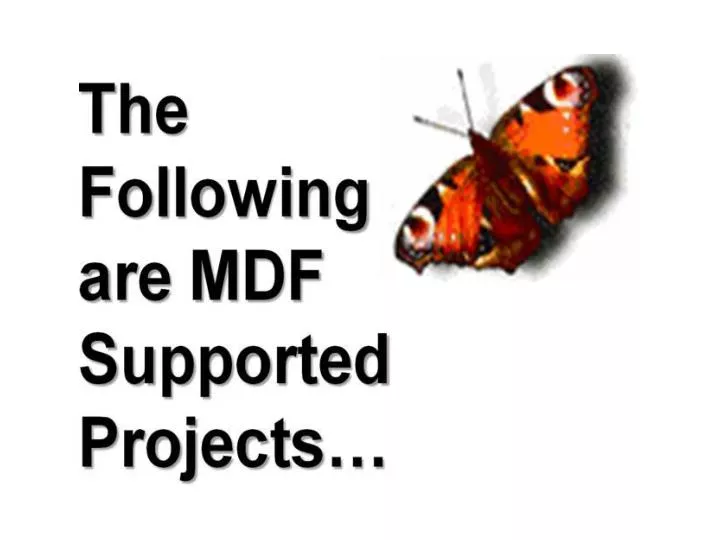 PPT - methodist university college PowerPoint Presentation, free ...