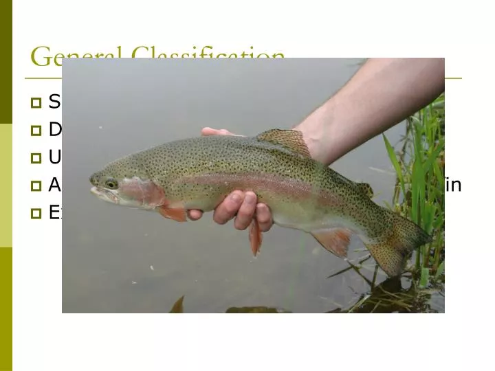 PPT - General Classification PowerPoint Presentation, free download ...