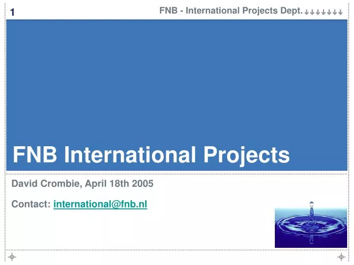 PPT - FNB International Projects PowerPoint Presentation, free download ...