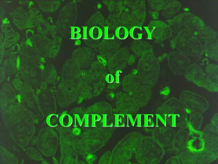 PPT - BIOLOGY of COMPLEMENT PowerPoint Presentation, free download - ID ...