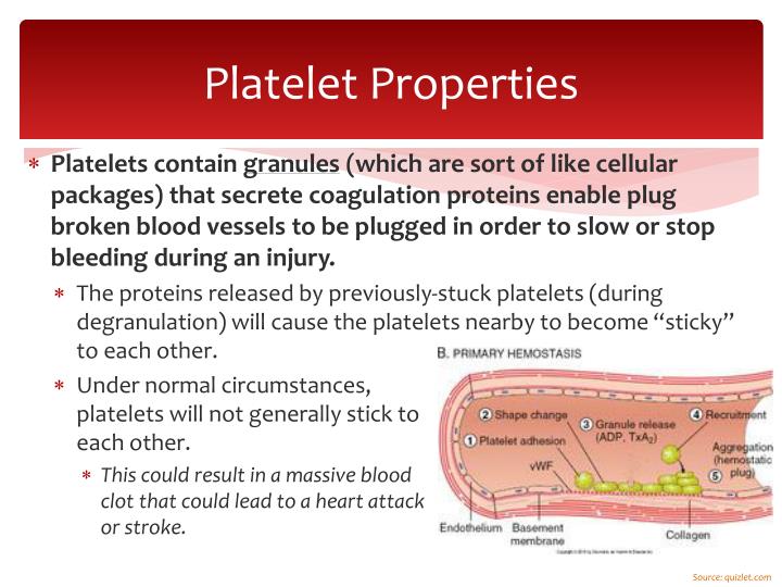 PPT - Wound Repair PowerPoint Presentation - ID:5323746
