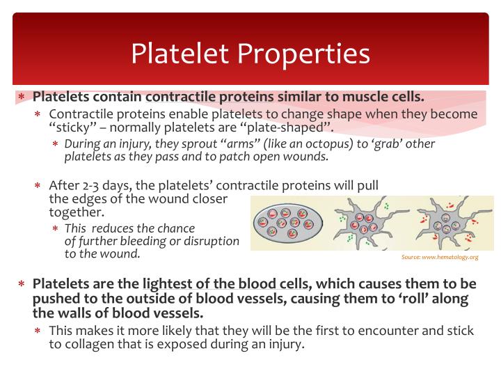 PPT - Wound Repair PowerPoint Presentation - ID:5323746