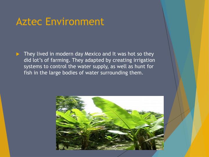 PPT - Aztecs PowerPoint Presentation - ID:5324419