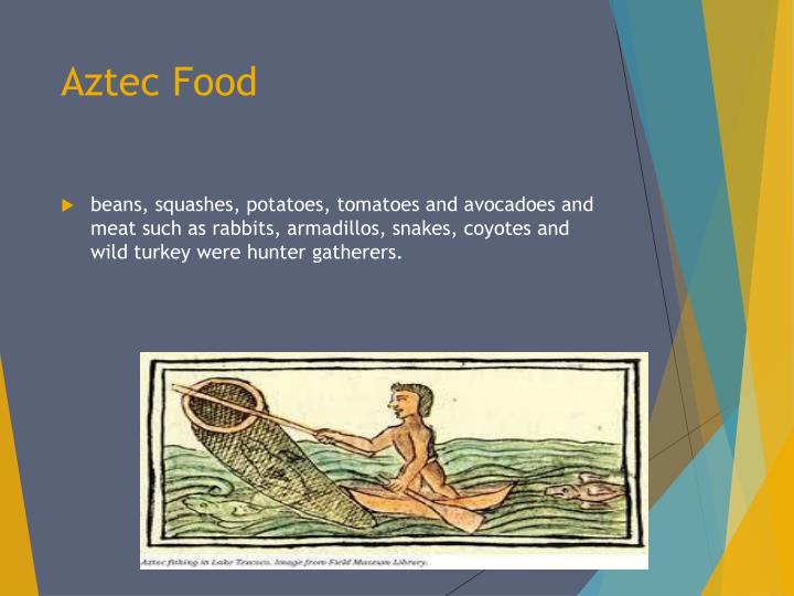 PPT - Aztecs PowerPoint Presentation - ID:5324419