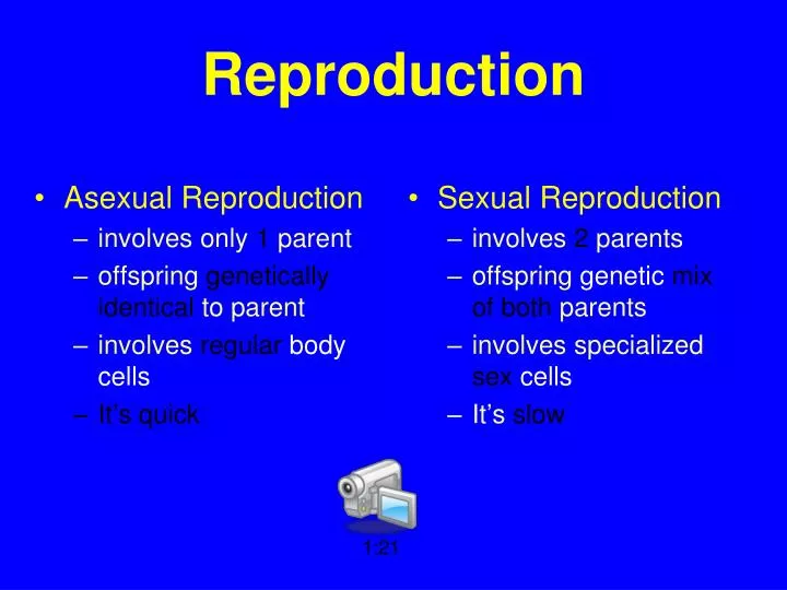 PPT - Reproduction PowerPoint Presentation, free download - ID:5324467