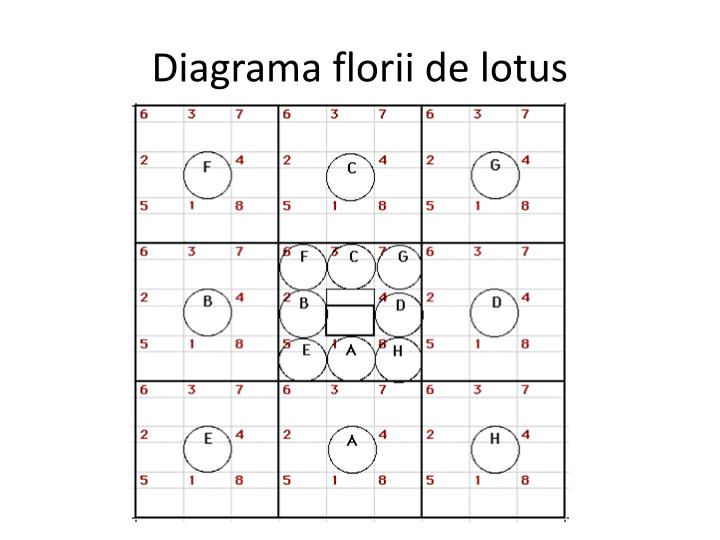 PPT - Tehnica f lo rii de nufăr (lotus) PowerPoint Presentation - ID ...