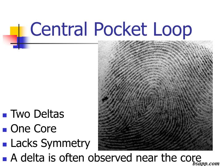 PPT - Classes of Fingerprints PowerPoint Presentation - ID:5325080