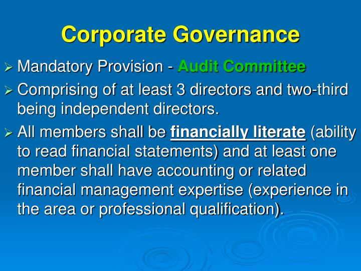 PPT - SOURCES OF ACCOUNTING REGULATIONS PowerPoint Presentation - ID ...