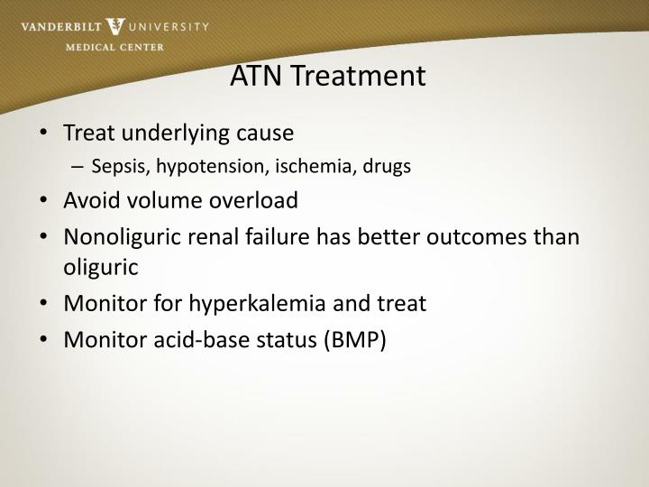PPT - Acute Kidney Injury in the Critically Ill PowerPoint Presentation ...