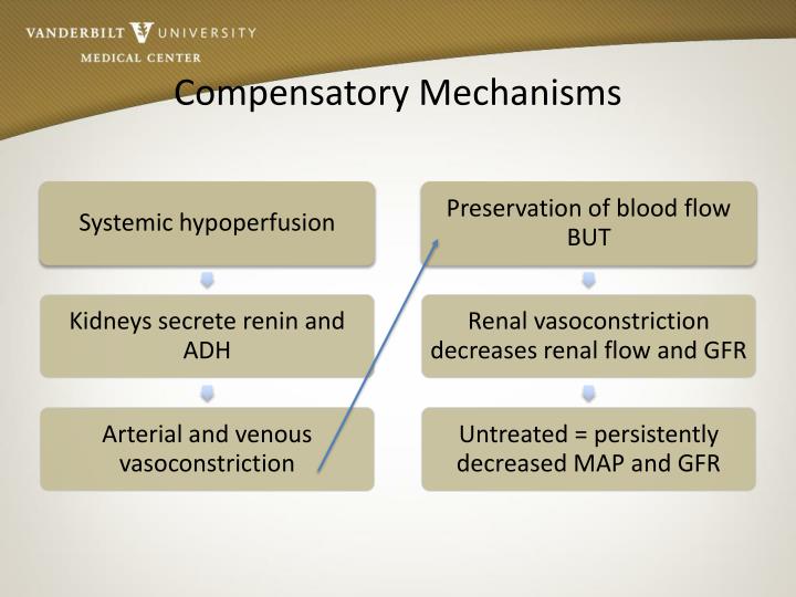 PPT - Acute Kidney Injury in the Critically Ill PowerPoint Presentation ...