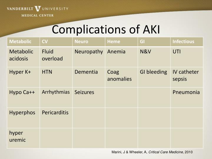 PPT - Acute Kidney Injury in the Critically Ill PowerPoint Presentation ...