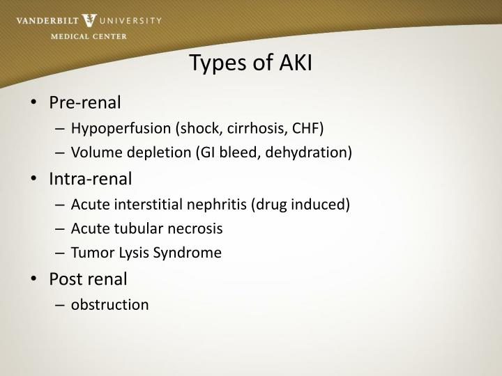 PPT - Acute Kidney Injury in the Critically Ill PowerPoint Presentation ...