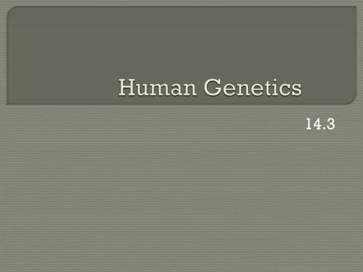 PPT - Human Genetics PowerPoint Presentation, free download - ID:5327934