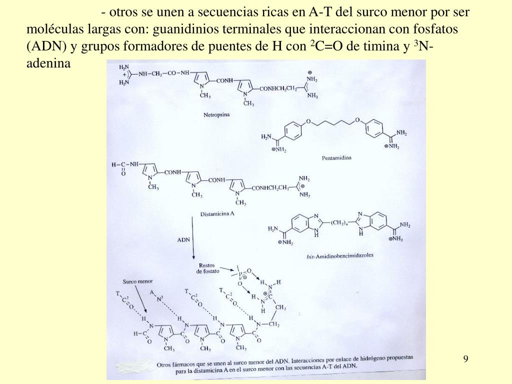 PPT - - triazenoimidazoles (dacarbazina): deben ser dealquilados ...