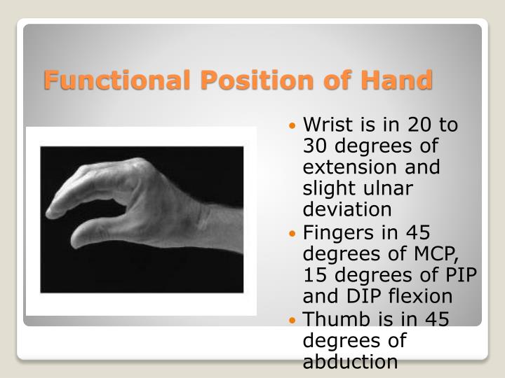 PPT - Hand PowerPoint Presentation - ID:5329847