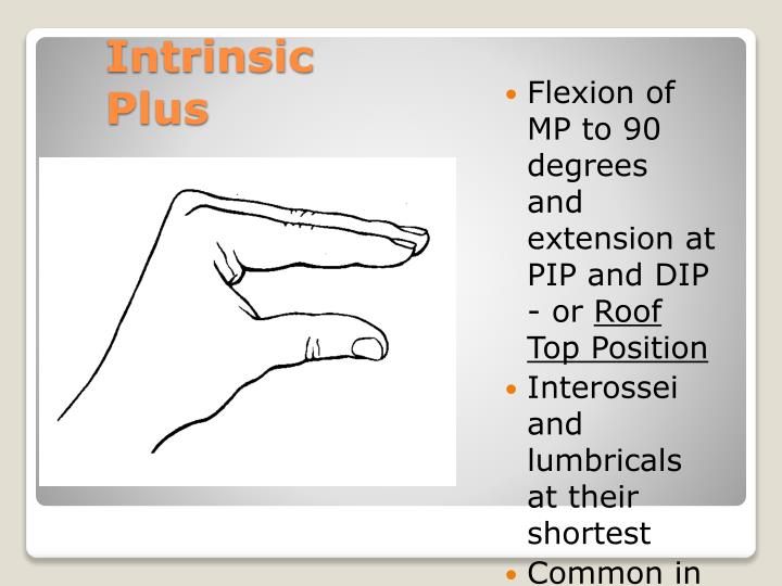 PPT - Hand PowerPoint Presentation - ID:5329847