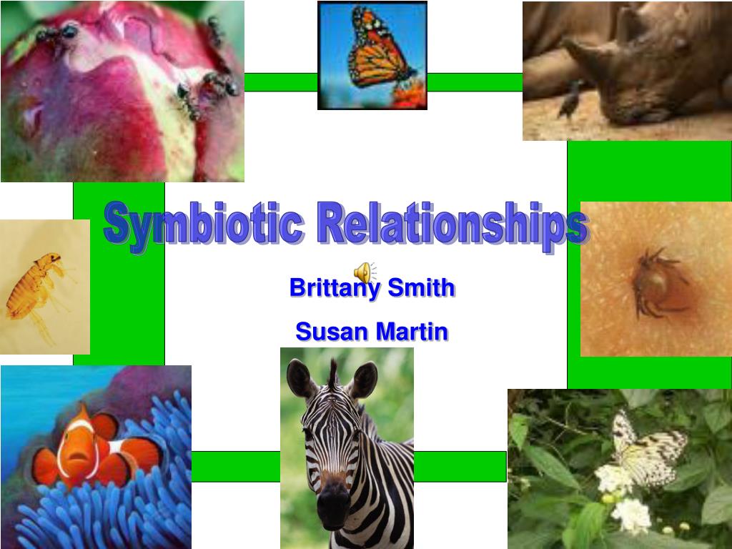 PPT - Symbiotic Relationships PowerPoint Presentation, free download ... PPT - Symbiotic Relationships PowerPoint Presentation, free download ...
