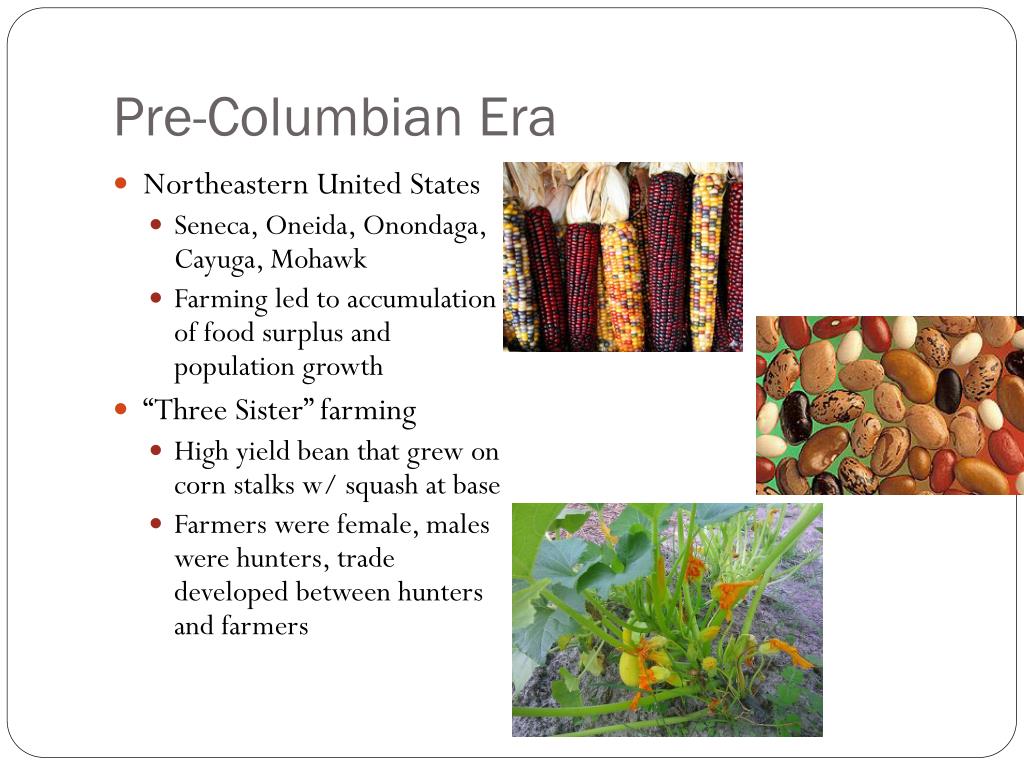 PPT - Discovery & Settlement of the New World PowerPoint Presentation ...