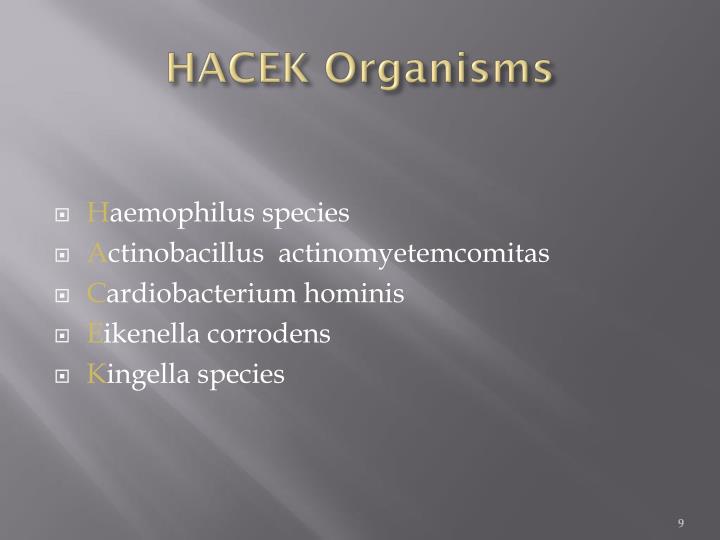 PPT - Haemophilus & the HACEKGroup of Organisms PowerPoint Presentation - ID:5330201