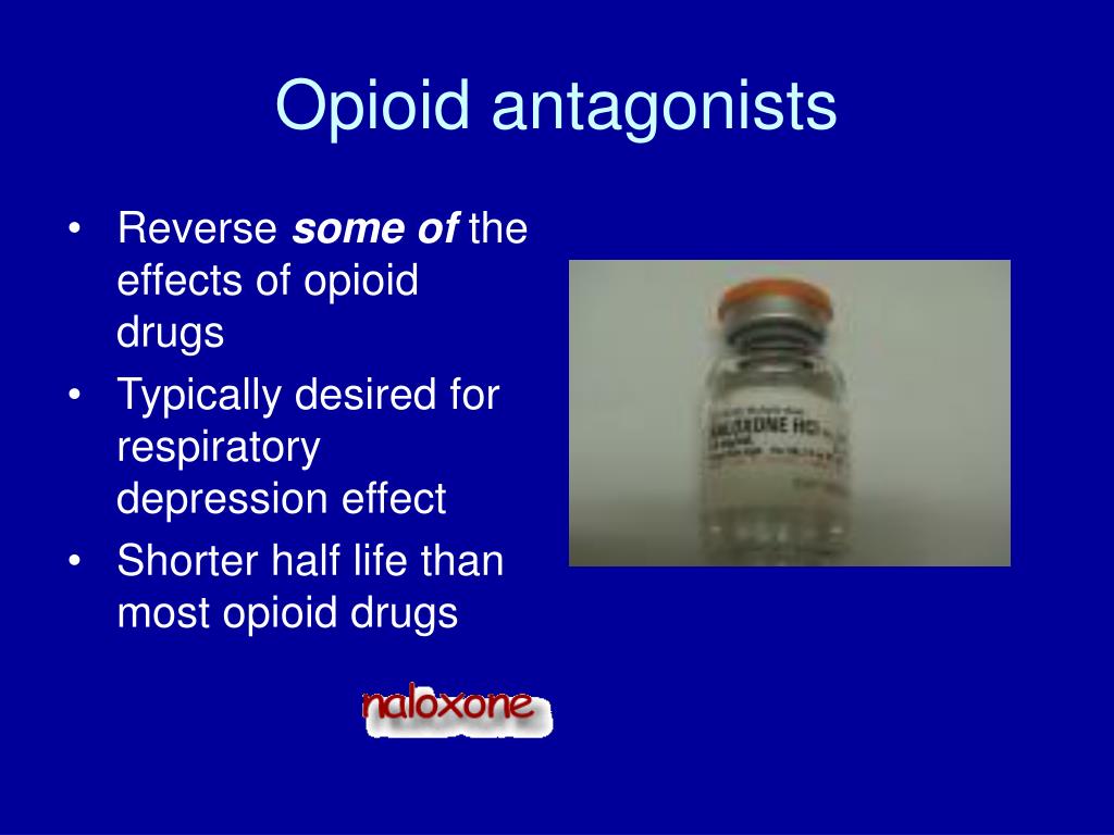 PPT - Drug presentation 1 agonist/antagonist PowerPoint Presentation ...