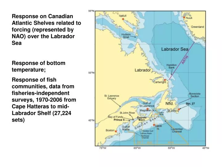PPT - Central Labrador Sea PowerPoint Presentation, free download - ID ...