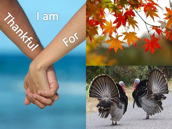 PPT - Thankful PowerPoint Presentation, free download - ID:5332308