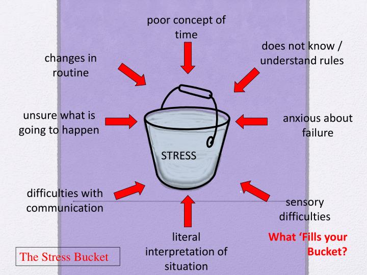 PPT - Autism Spectrum Disorders & The ‘Stress Bucket’. PowerPoint ...