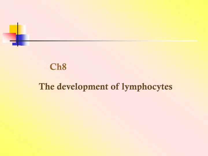 PPT - The development of lymphocytes PowerPoint Presentation, free ...