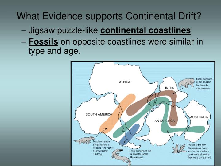 PPT - Plate Tectonics & The Ocean Floor PowerPoint Presentation - ID ...