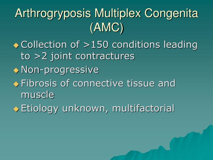 PPT - Neonatal Orthopedic Issues PowerPoint Presentation - ID:5335544